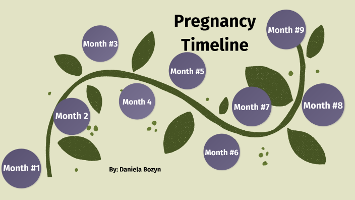Pregnancy Timeline Project by Daniela Bozyn on Prezi