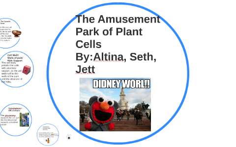 Cell Project (Amusement Park) by Seth Israel on Prezi
