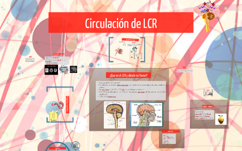 Circulacion de LCR by karla Gonzalez on Prezi