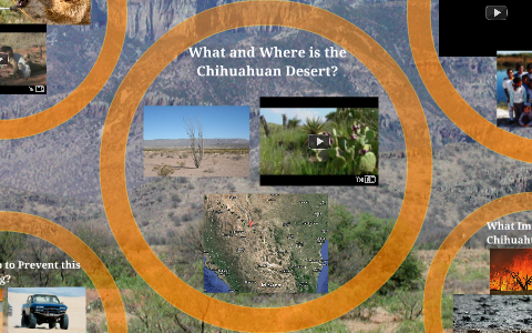 What and Where is the Chihuahuan Desert by Harry Greenhalgh Greenhalgh
