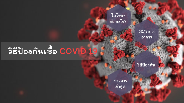 Covit 20 by SURAPAN LAKKAMPHAN on Prezi
