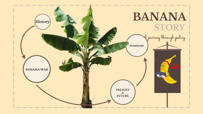 Banana story by Tran Huynh on Prezi