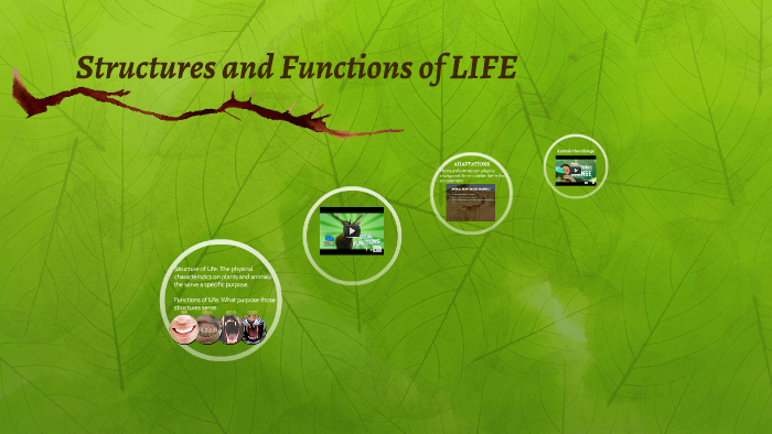 Structures and Functions of LIFE by on Prezi