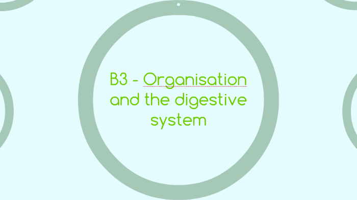 B3 - Organisation and the digestive system by aaa pvz on Prezi