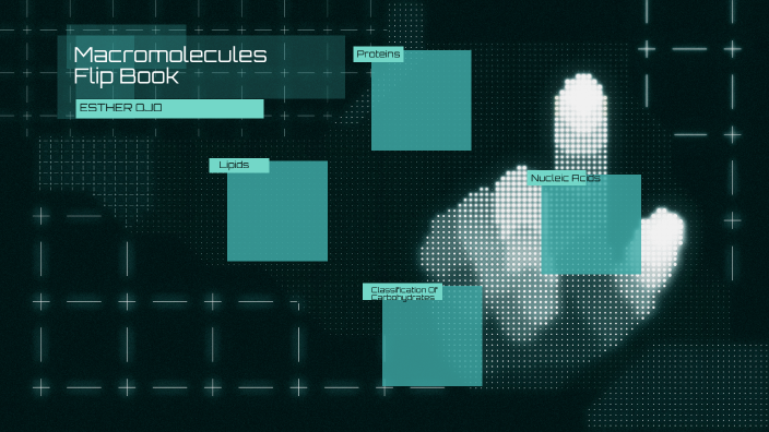 Macromolecules Flip Book by OLUWATOBI OJO on Prezi