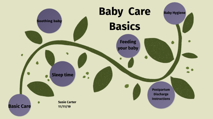 Baby Care Basics by Susie Carter on Prezi