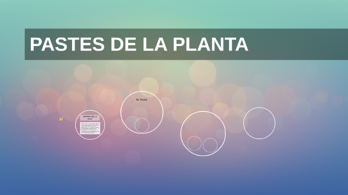 PASTES DE LA PLANTA by PAOLA ANDREA HURTADO on Prezi