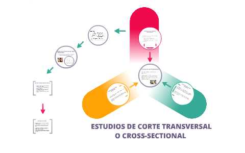 ESTUDIO DE CORTE TRANSVERSAL by ANDREA CANO on Prezi