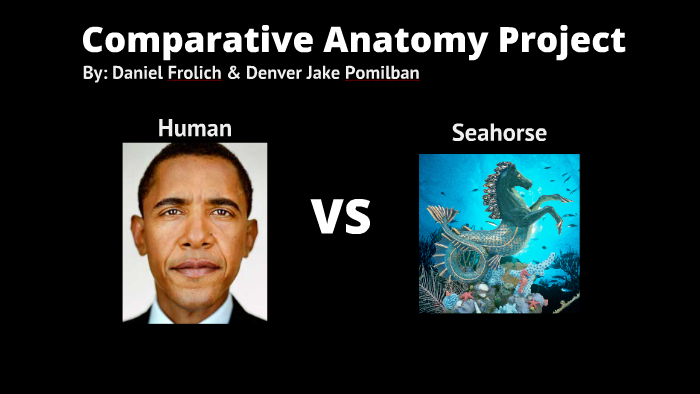 Comparative Anatomy Project by Daniel Frolich on Prezi