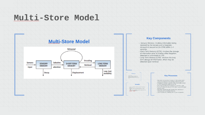 Multi-Store VS Working Memory Models by Lewis Ansell on Prezi