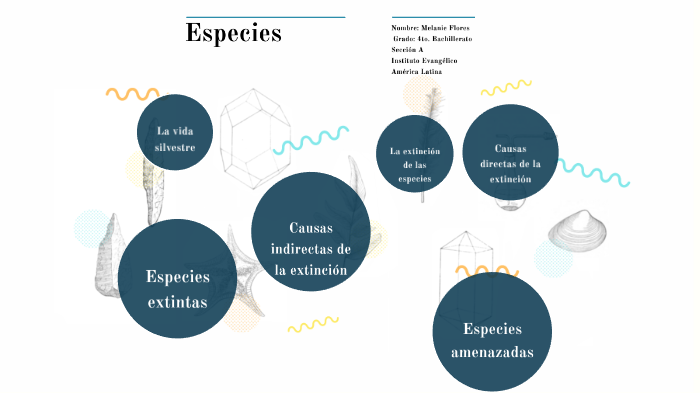 UNIÓN MUNDIAL PARA LA NATURALEZA by Melanie Eileen Flores Romero on Prezi