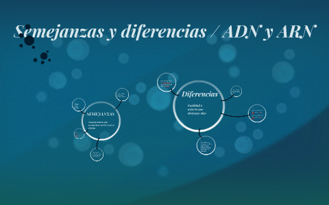 Semejanzas y diferencias entre ADN y ARN by Nicoll Aquite on Prezi