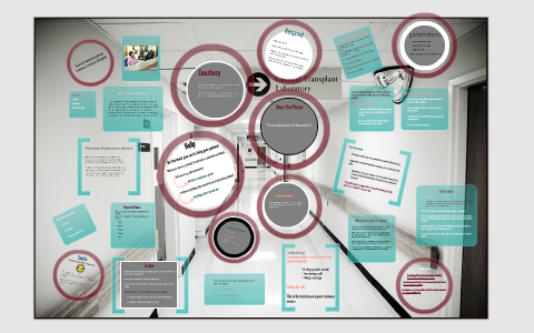 How to provide excellent patient service by Helen Sanchez-Granillo on Prezi