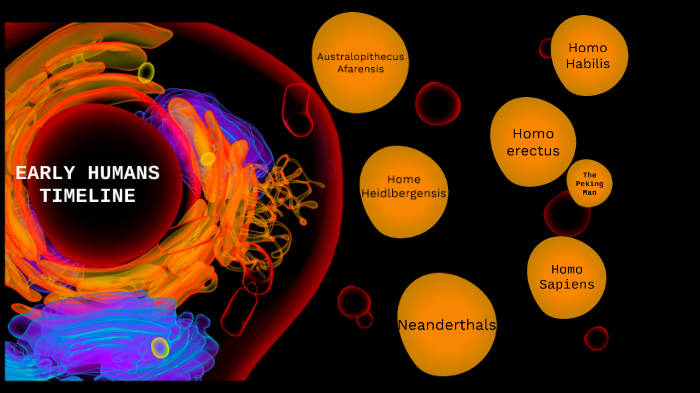 Early humans timeline by Brielle Witham on Prezi