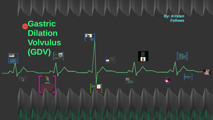 Gastric Dilatation Volvulus (GDV) by Kristen Fellows on Prezi