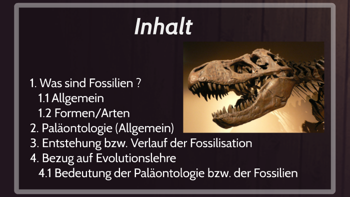Die Entstehung von Fossilien by Lukas Aslan on Prezi