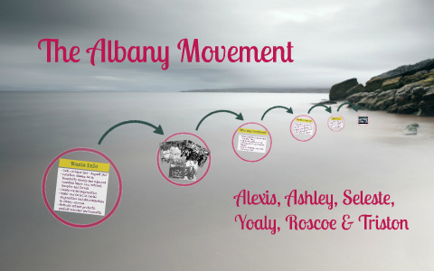 The Albany Movement by Alexis Boykin