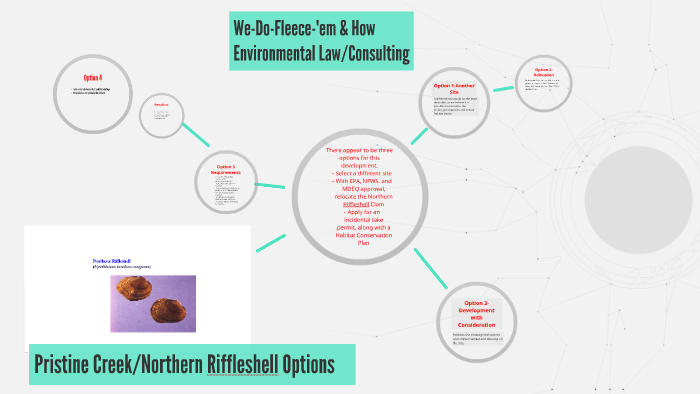 Pristine Creek/Northern Riffleshell Options by D Starr on Prezi