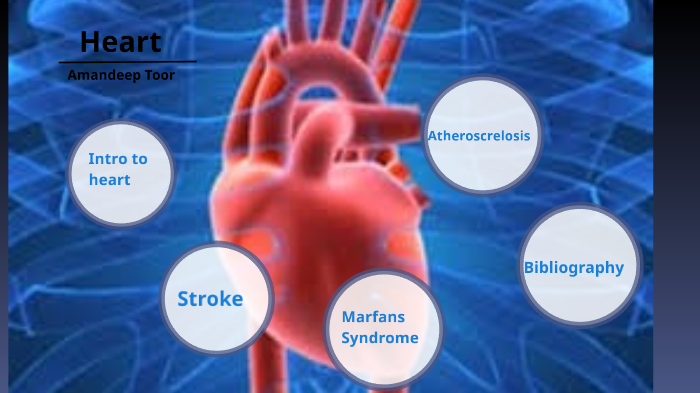 HEART PROJECT by Amandeep Toor on Prezi