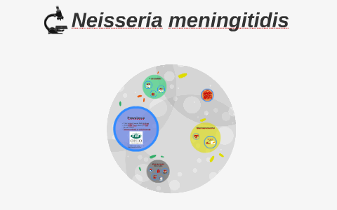 My Favorite Microbe Presentation by on Prezi