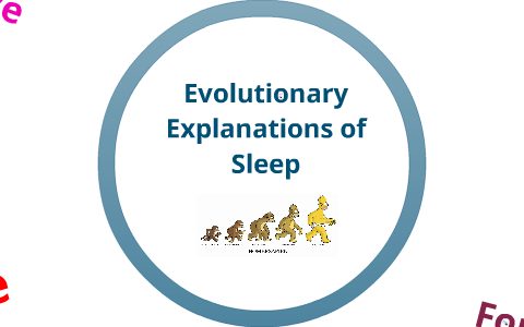 Evolutionary explanations of sleep by Rachel Allison on Prezi