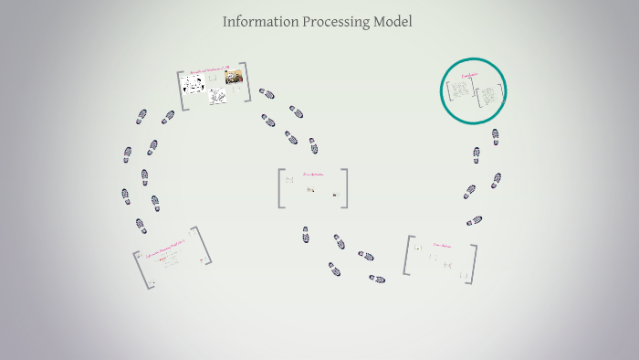 Information Processing Type