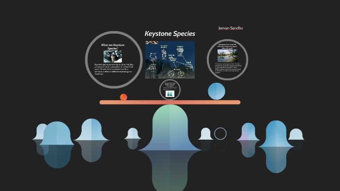 Keystone Species by Jeevan Sandhu on Prezi