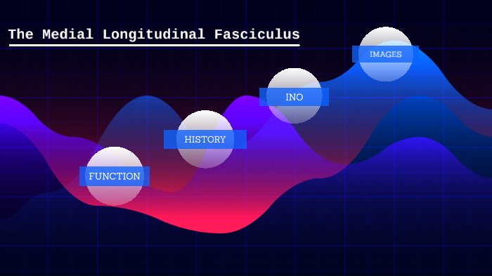 The Medial Longitudinal Fasciculus by Braden Larson on Prezi