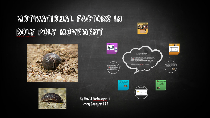 Motivational factors in ROly Poly movement by David Yeghyayan on Prezi
