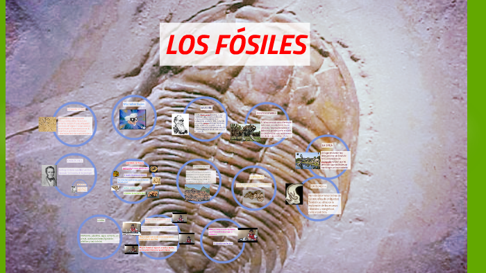 Los Fósiles by Elliott Joshua Posadas Perez on Prezi