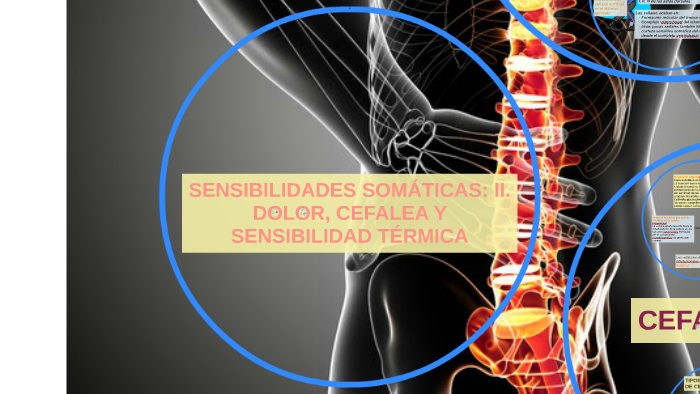 SENSIBILIDADES SOMÁTICAS: II. DOLOR, CEFALEA Y SENSIBILIDAD by on Prezi