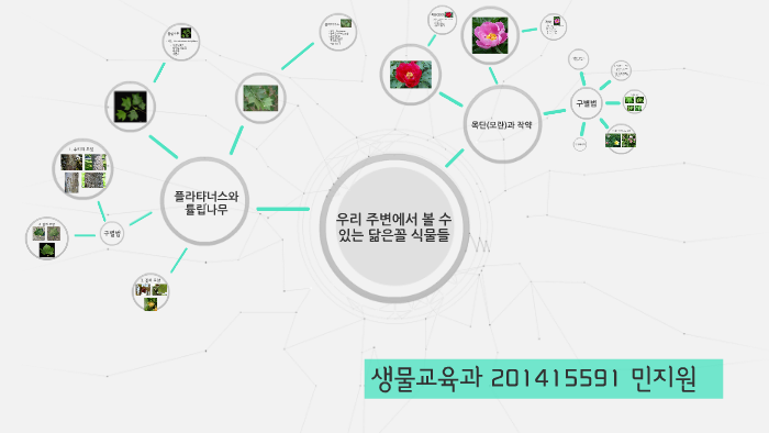 생활속의 생명과학 발표 by min jiwon on Prezi