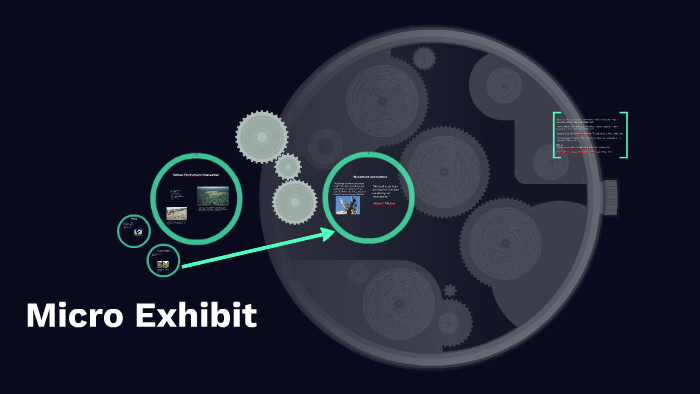 Micro Exhibit by Micah B on Prezi