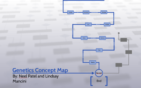 Genetics Concept Map by Neel Patel