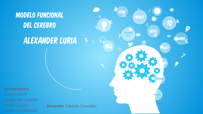 Modelo funcional de Luria by Javiera Sepulveda Ortiz on Prezi