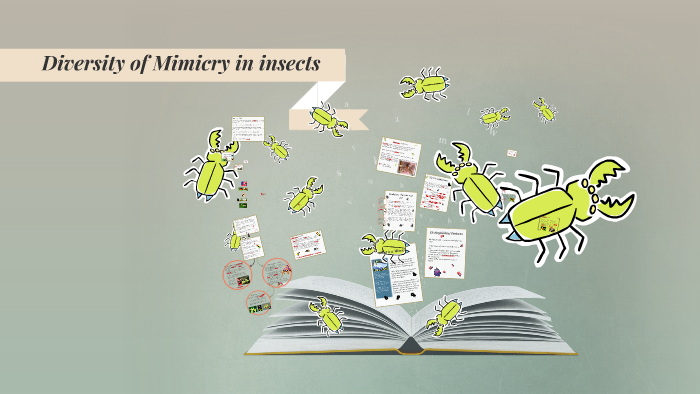 Mimicry in insects by Shawn Harrison on Prezi