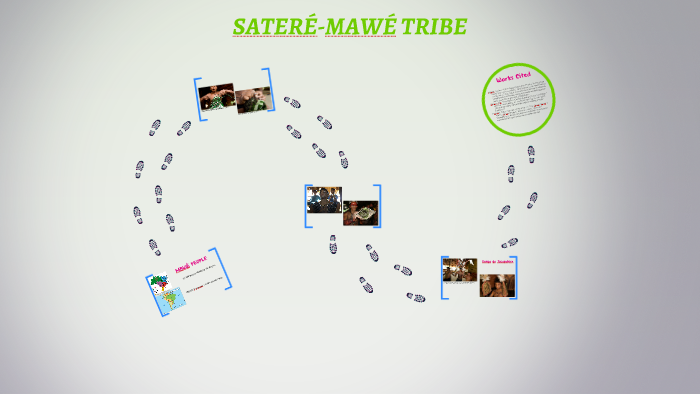 SATERÉ-MAWÉ TRIBE by Marah Hall on Prezi