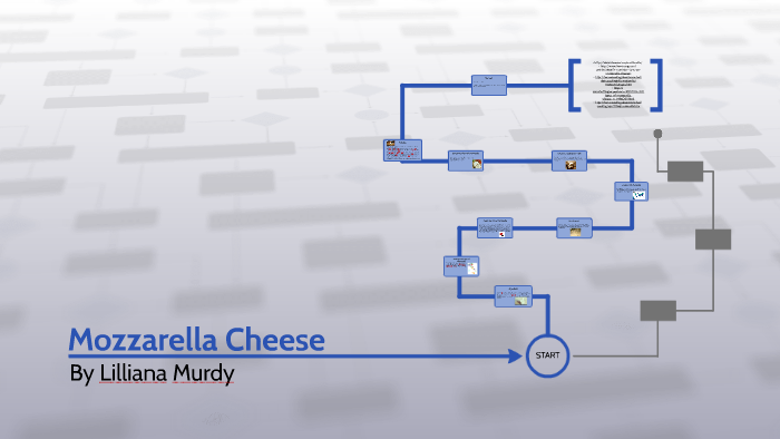 Mozzarella Cheese by l m on Prezi