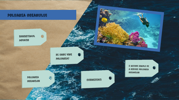Ecosistem acvatic by Daria Manta on Prezi