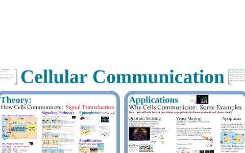 AP Bio - Cells 5: Communication by Jessica Gregerson on Prezi