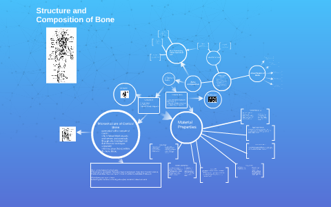 Structure and Composition of Bone by on Prezi