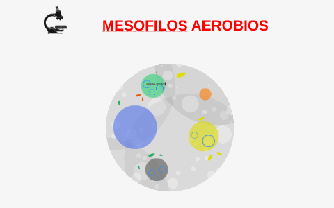 ¿Que son los AEROBIOS MESOFILOS? by carmen rodriguez on Prezi