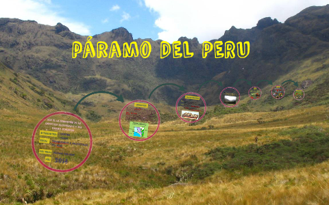 PARAMO DEL PERU by Sam Garcia on Prezi