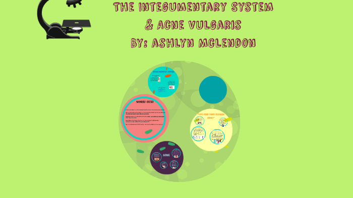 The Integumentary System & Acne by Ashlyn McLendon on Prezi