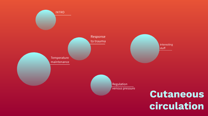 cutaneous circulation by Giulia Beltrami on Prezi