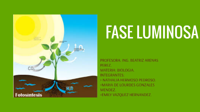 FASE LUMINOSA by Emily Hernandez on Prezi