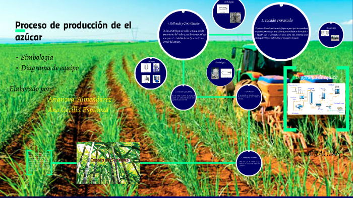 Proceso de producción de el azúcar by Ana Cecilia Espinoza Cárdenas on ...