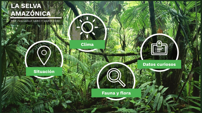 La selva amazónica by prezi prezi on Prezi