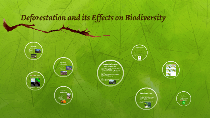 Deforestation and its Effects on Biodiversity by Jack Gillett on Prezi
