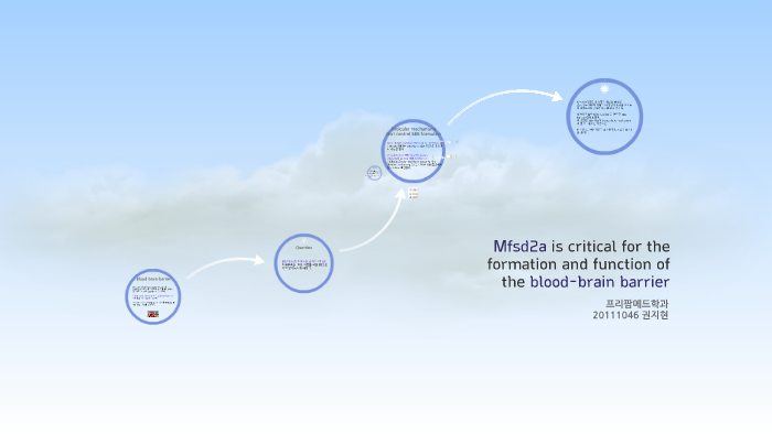 Mfsd2a is critical for the formation and function of the blo by wlgus rnjs